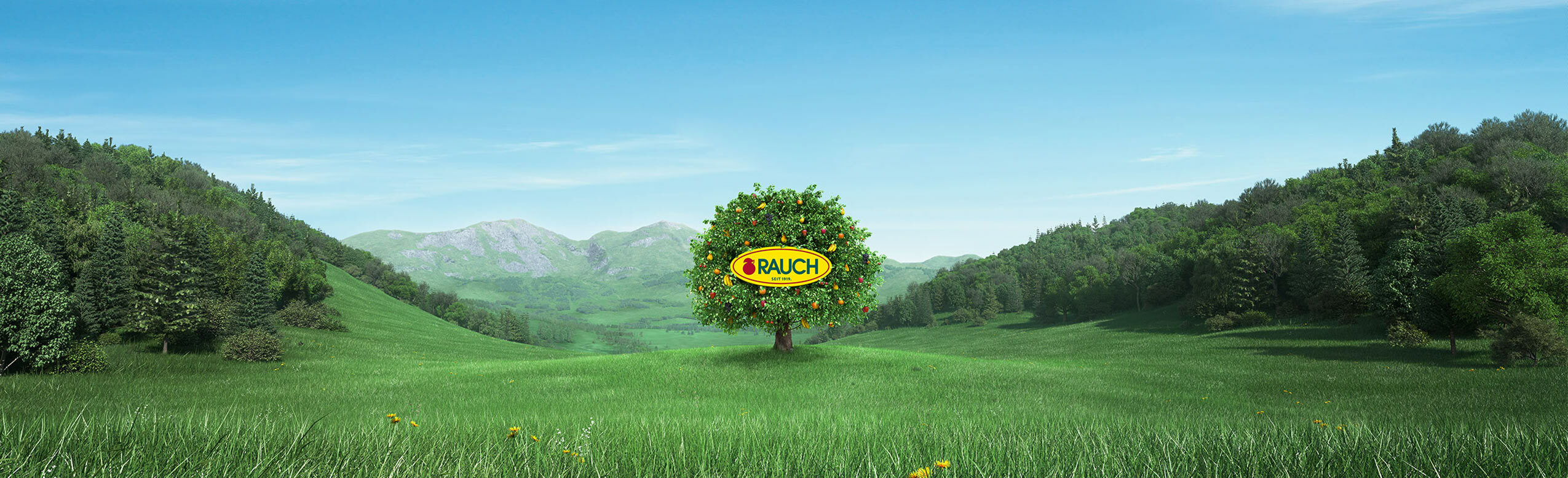 Üdvözlünk a RAUCH völgyben!